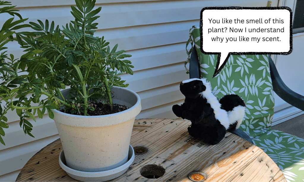 Name my Mascot Contest - The Motivational Editor